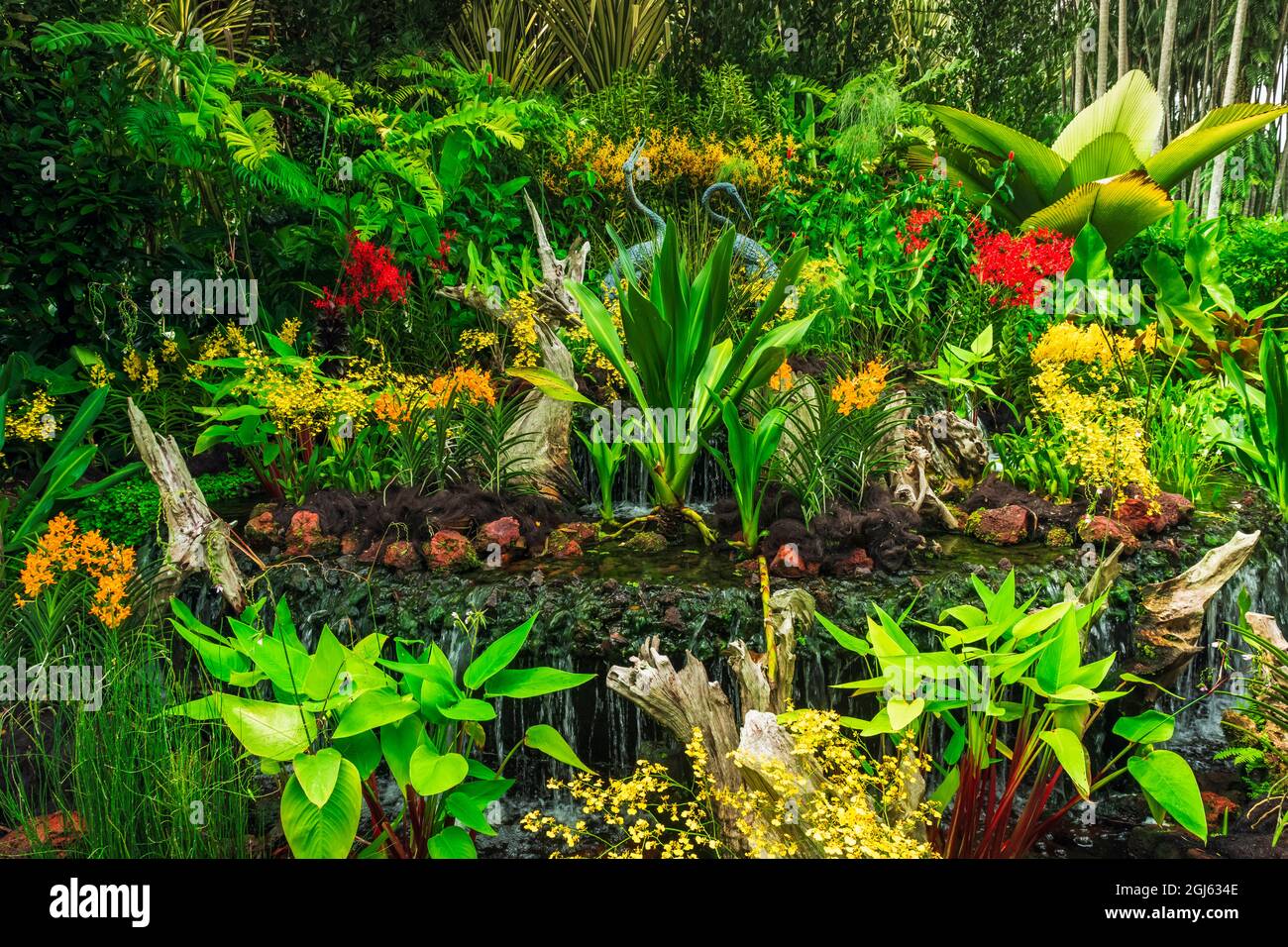 Orchids at the National Orchid Garden, Singapore Botanic Gardens ...