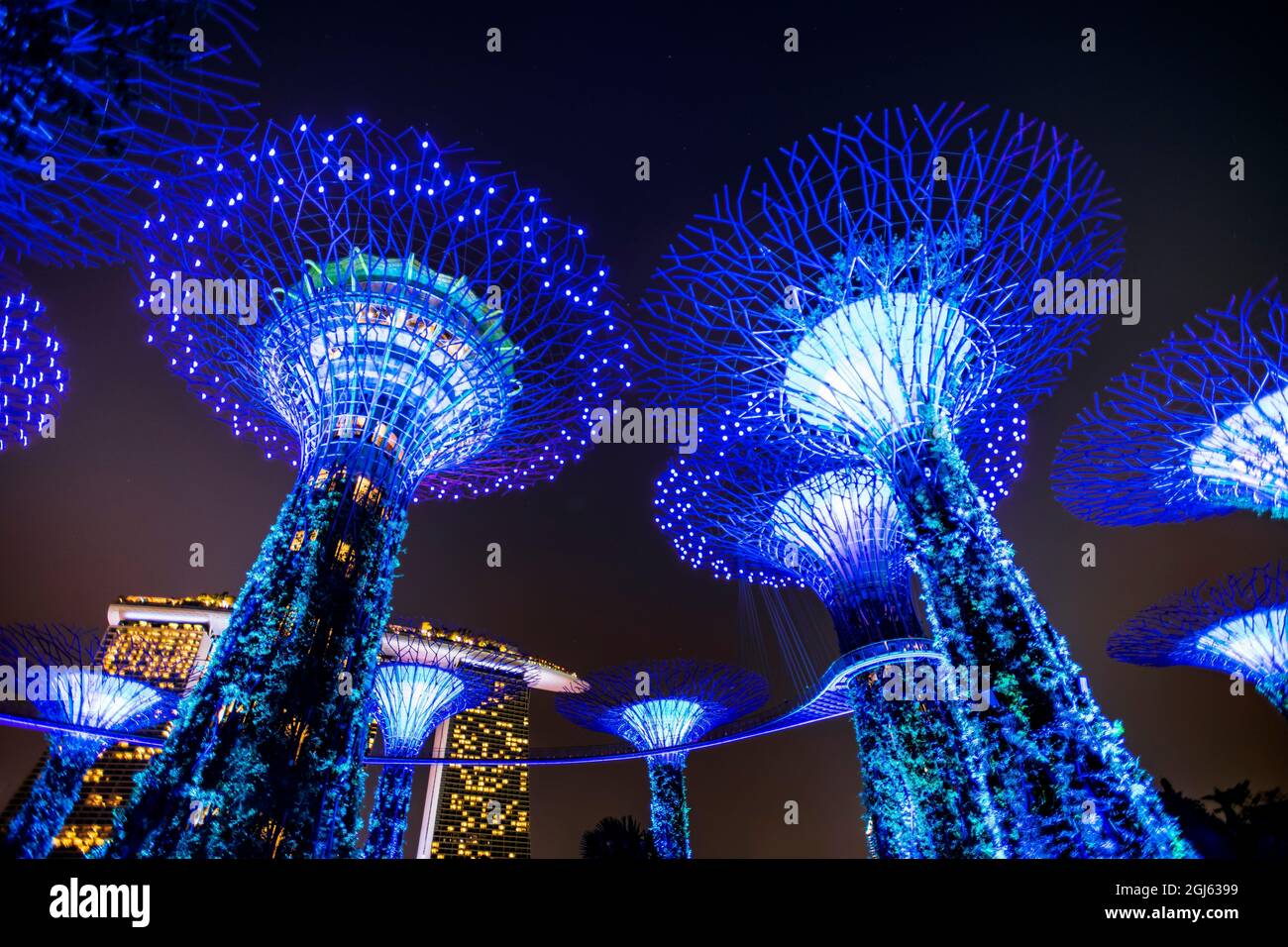 Garden Rhapsody Supertree light show, Gardens by the Bay, Singapore ...