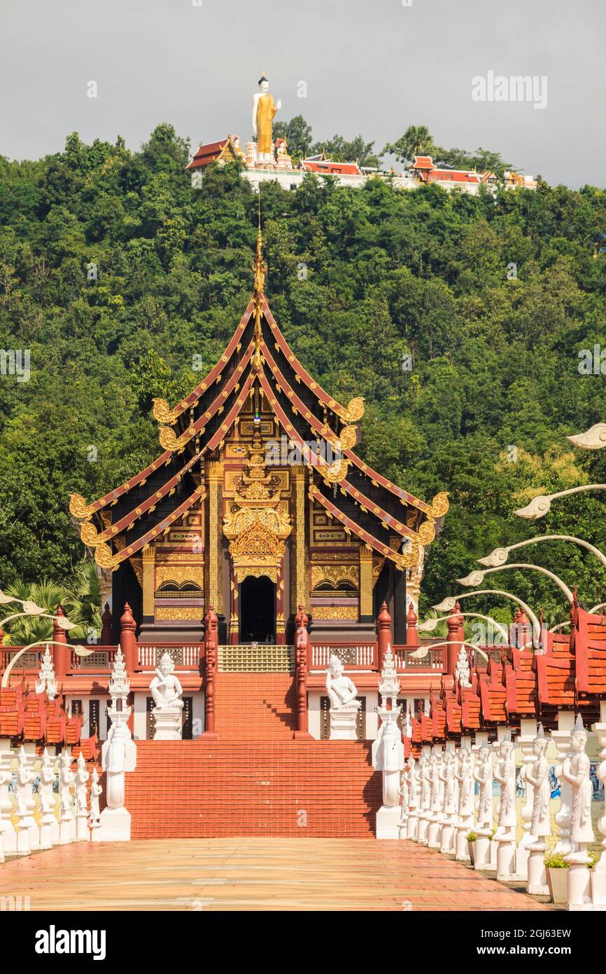 Ratchaphruek hi-res stock photography and images - Alamy