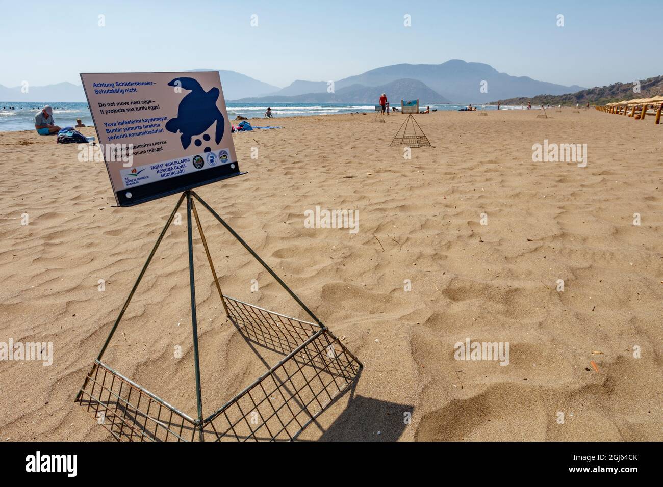 Protective nest cage for sea turtle eggs, Iztuzu Beach. Dalyan, Mugla ...