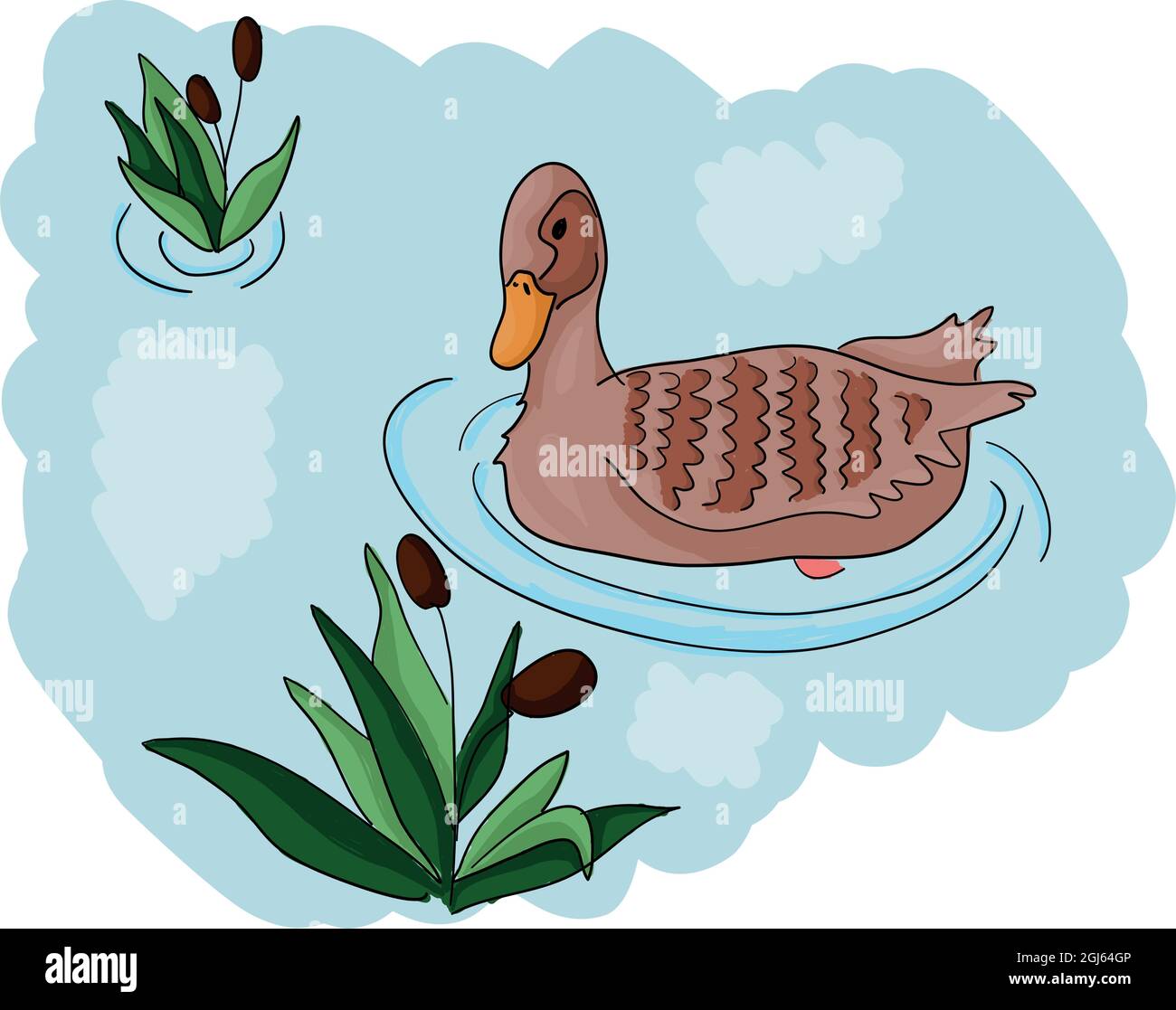 Vector illustration duck cartoon Cut Out Stock Images & Pictures - Alamy