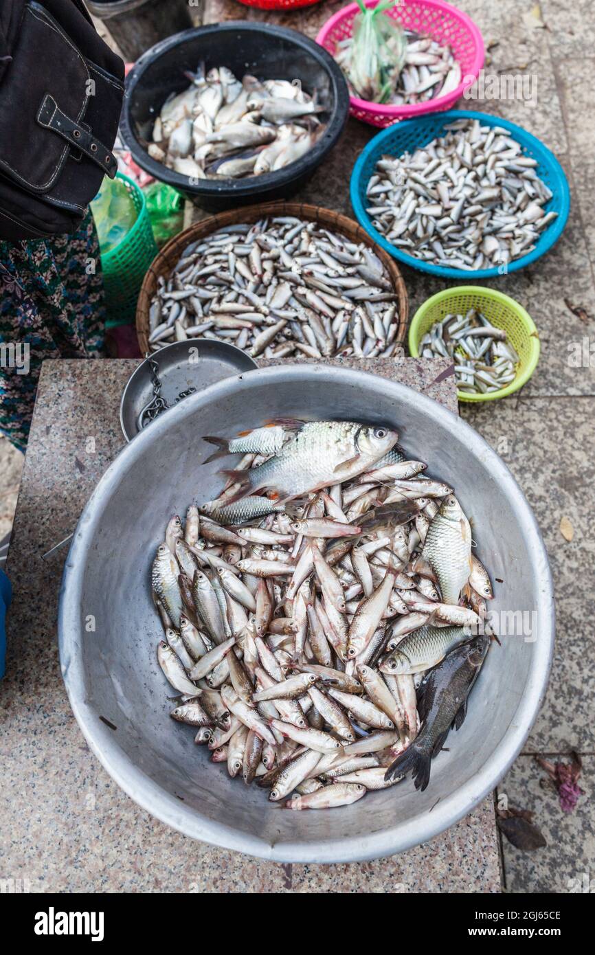 Cambodia, Phnom Penh. Tonle Sap riverfront, fish market Stock Photo - Alamy