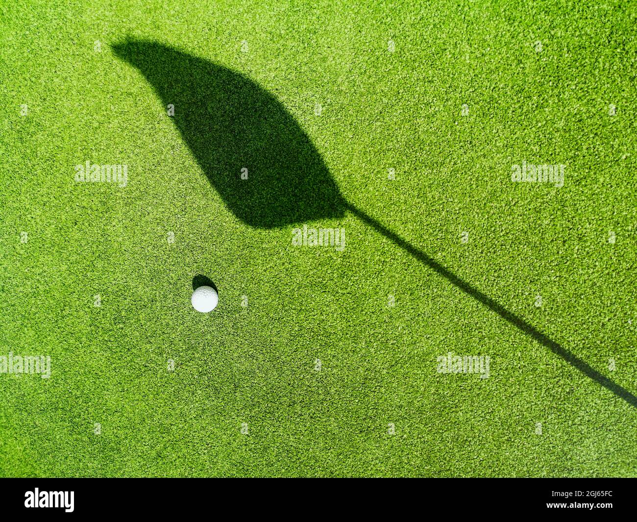 Golf ball on the green, shadow of a flag on a green, golf course Stock ...
