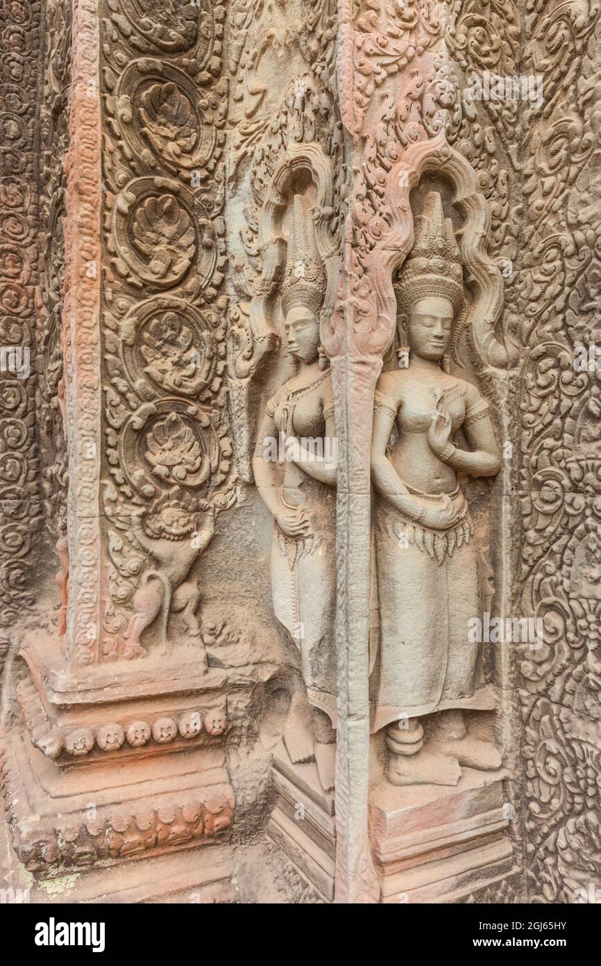 Cambodia, Angkor. Ta Prohm temple carvings Stock Photo - Alamy