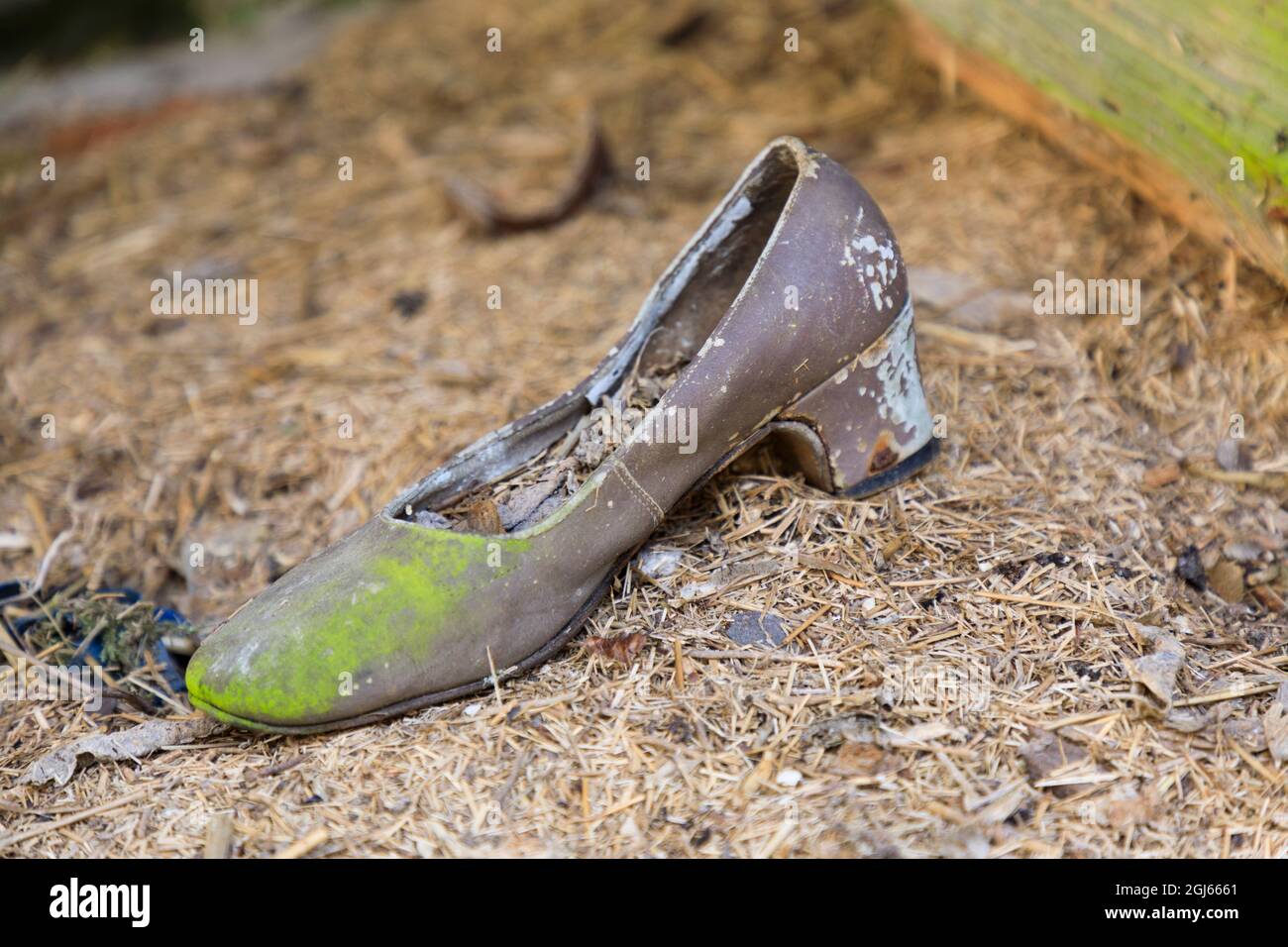Ukraine, Pripyat, Chernobyl. Woman's shoe Stock Photo - Alamy