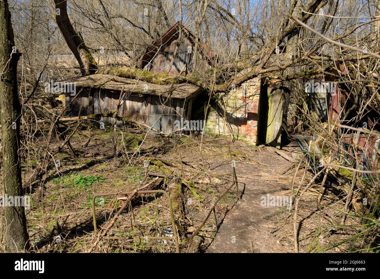 Ukraine, Pripyat, Chernobyl. Remains of house Stock Photo - Alamy