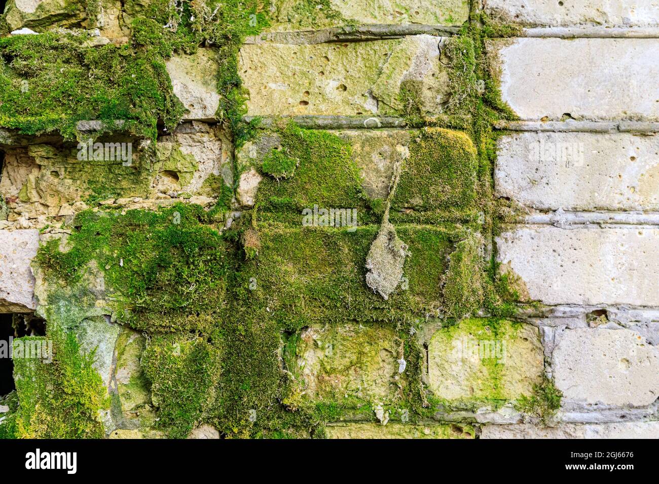 Chernobyl wall texture hi-res stock photography and images - Alamy