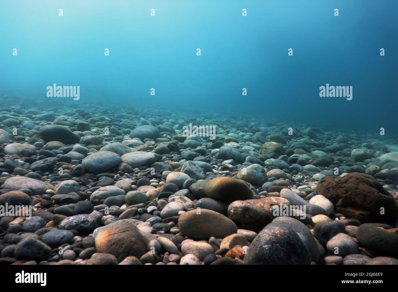 Underwater Rocks and Pebbles on the Seabed Stock Photo - Alamy