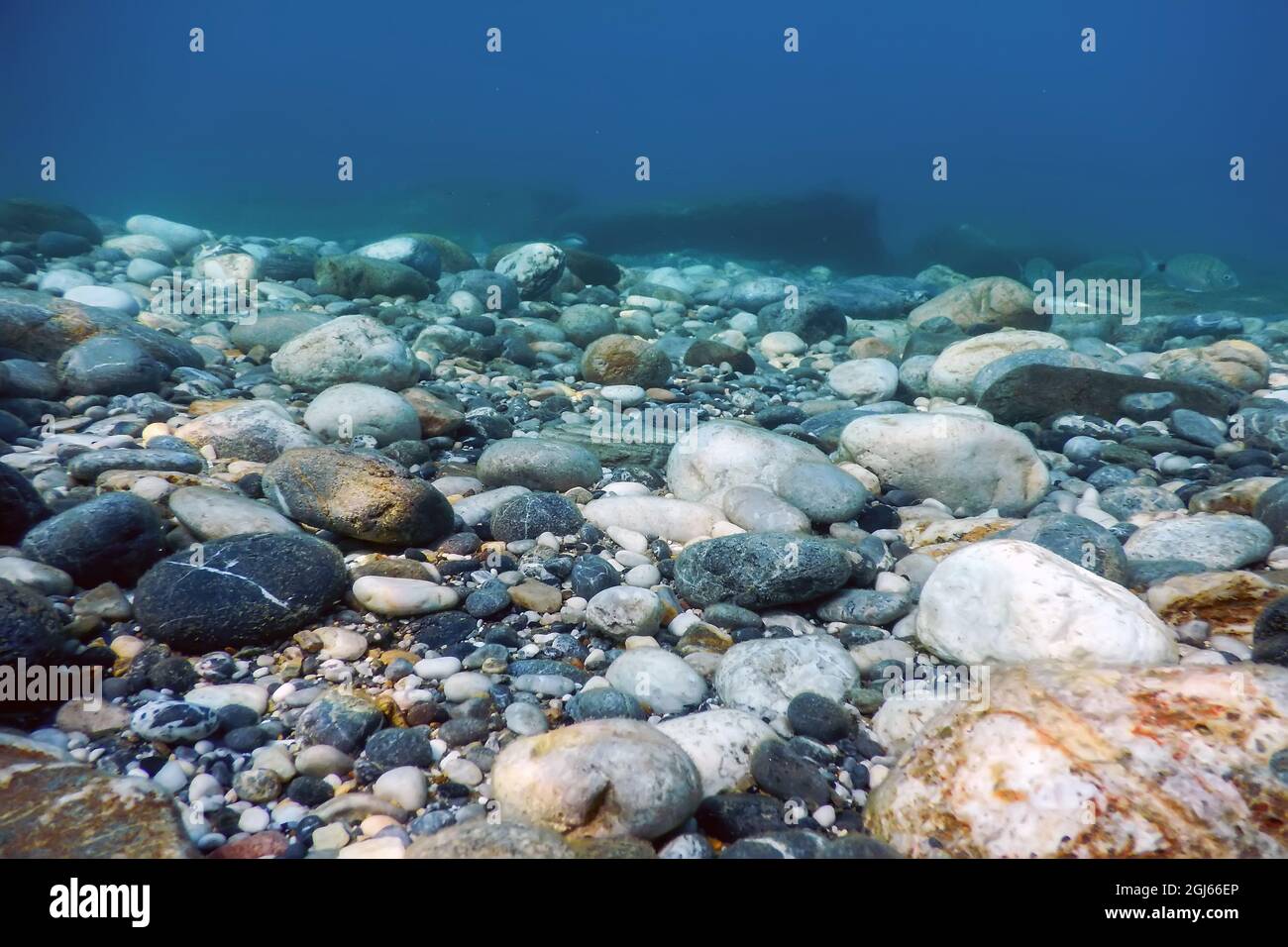 Underwater Rocks and Pebbles on the Seabed Stock Photo - Alamy