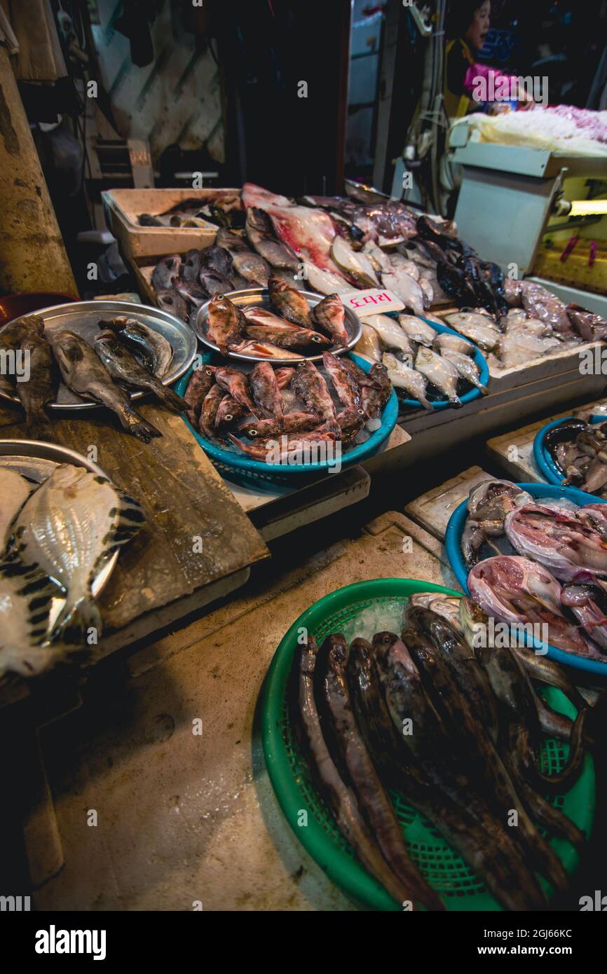 Busan south korea seafood sold hi-res stock photography and images - Alamy