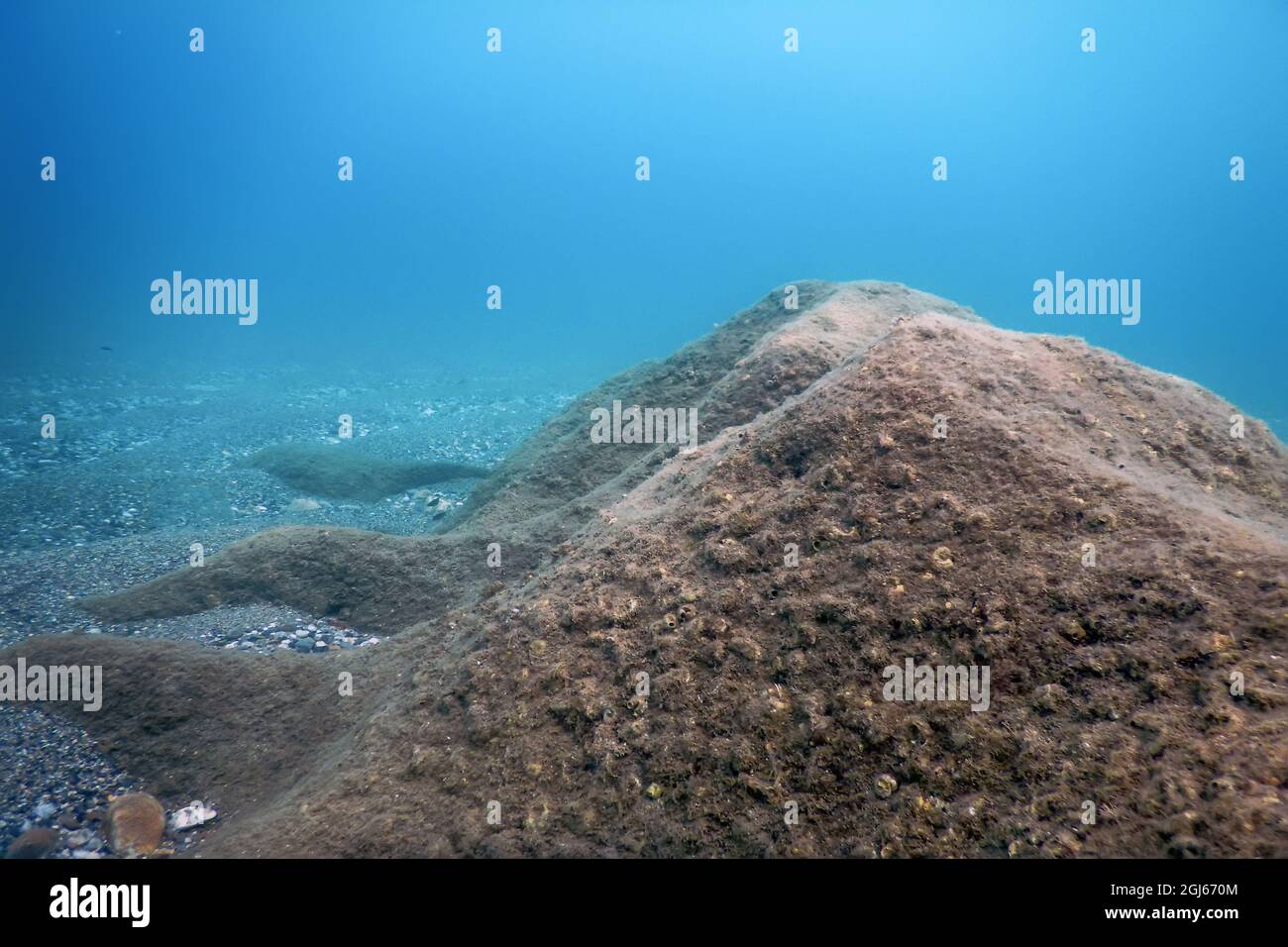 Underwater Rocks and Pebbles on the Seabed Stock Photo - Alamy