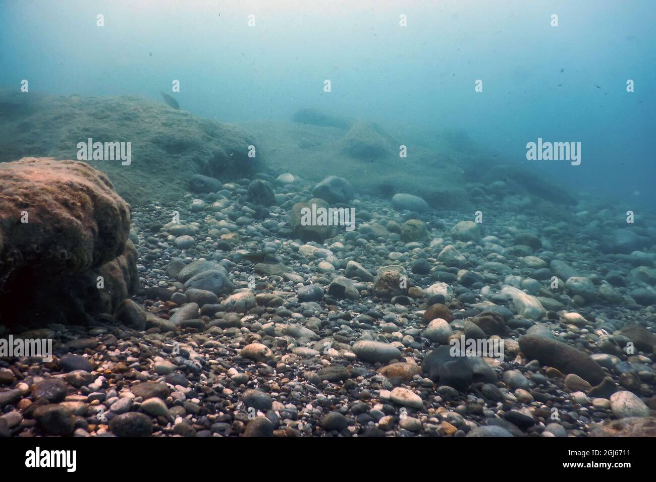 Underwater Rocks and Pebbles on the Seabed Stock Photo - Alamy