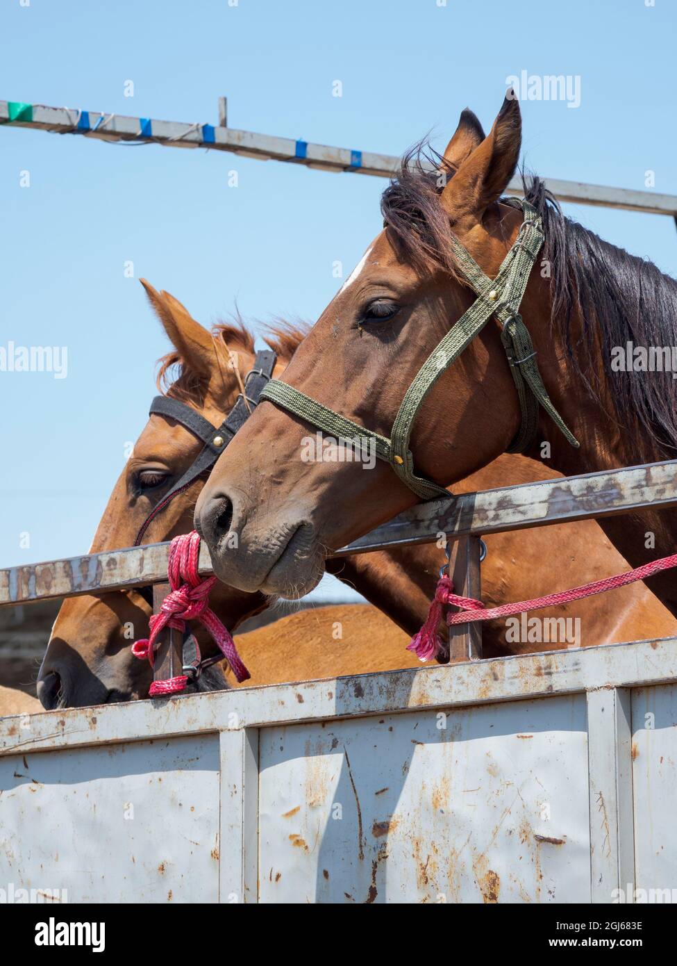 Kyrgyzstan tokmok hi-res stock photography and images - Alamy