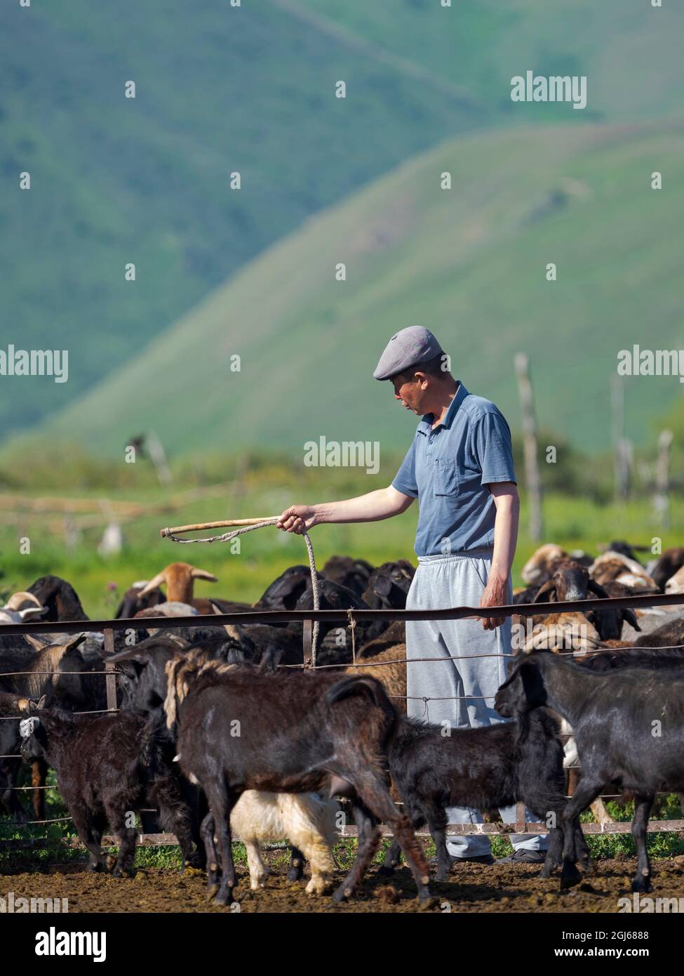Kyrgyz goat herder hi-res stock photography and images - Alamy