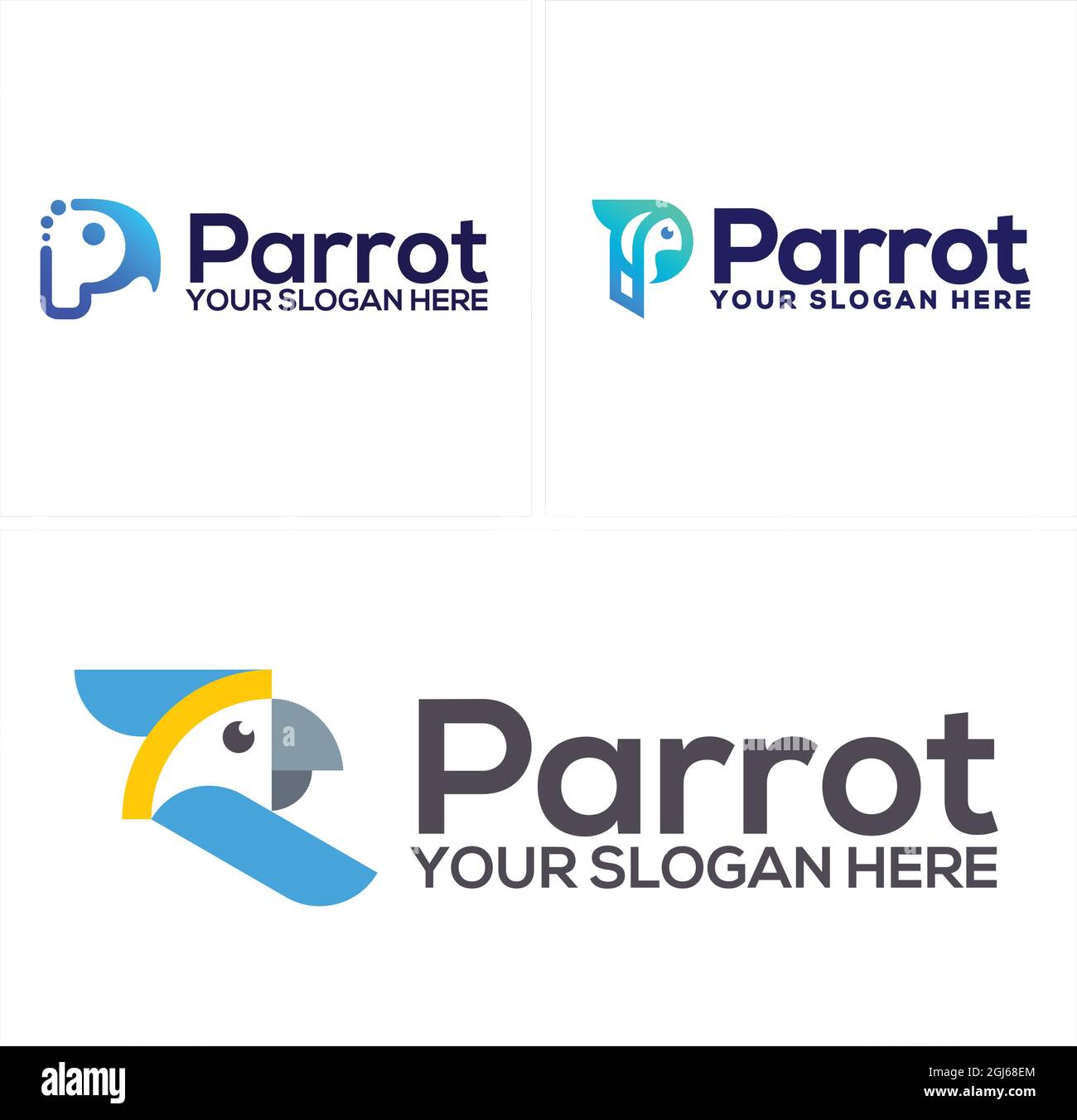 Bird parrot logo design Stock Vector Image & Art - Alamy