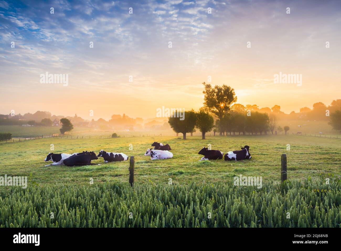 Sleeping farmer hi-res stock photography and images - Alamy