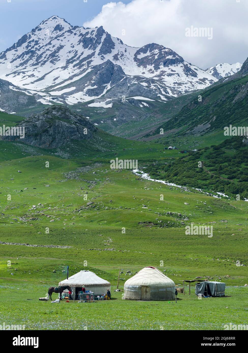 Tala national park hi-res stock photography and images - Alamy