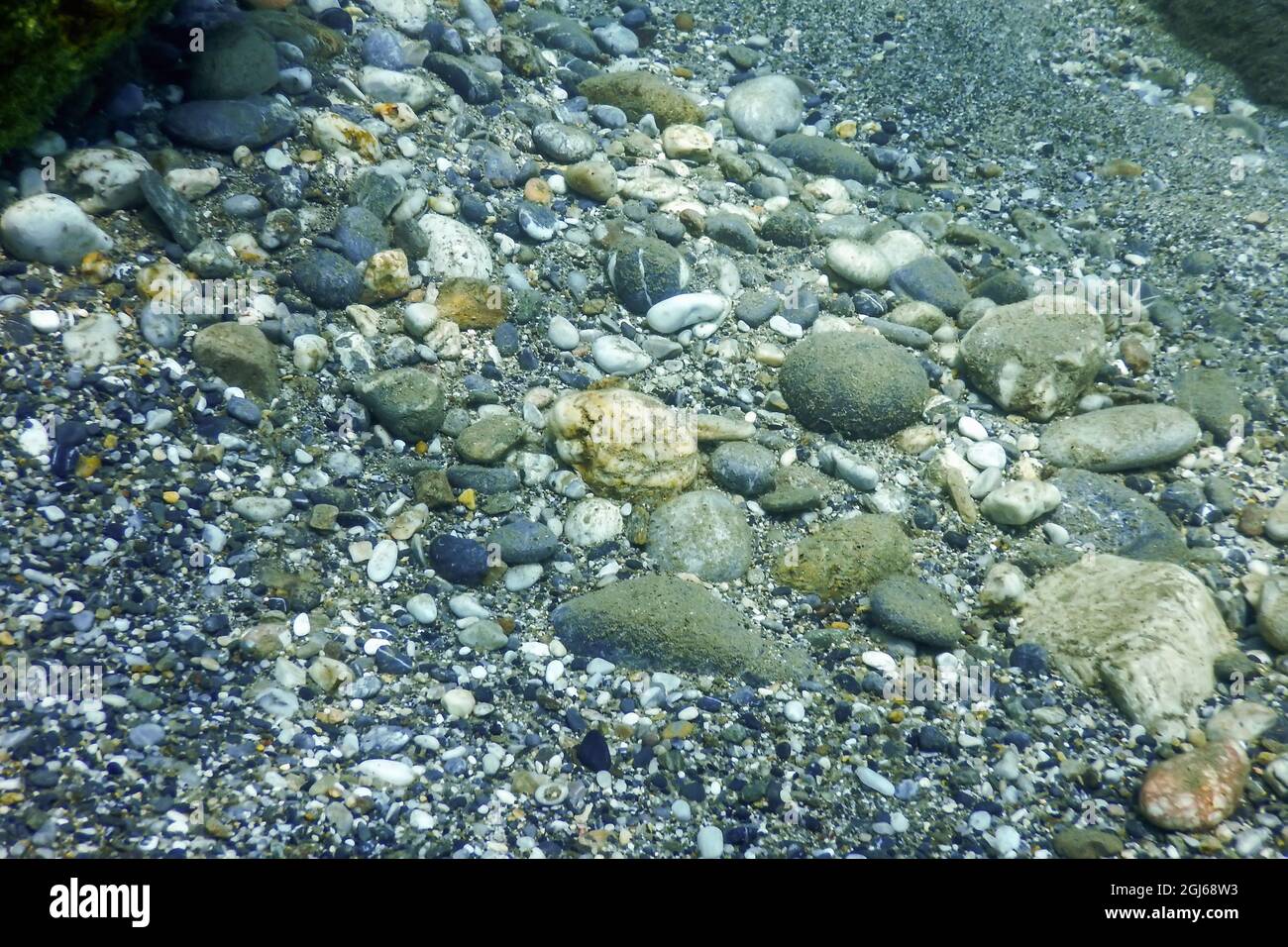 Underwater Rocks and Pebbles on the Seabed Stock Photo - Alamy