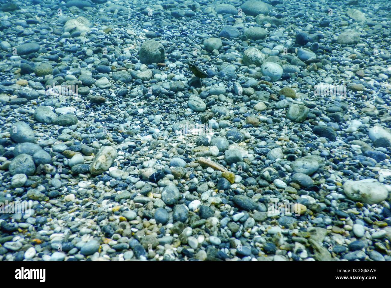 Underwater Rocks and Pebbles on the Seabed Stock Photo - Alamy
