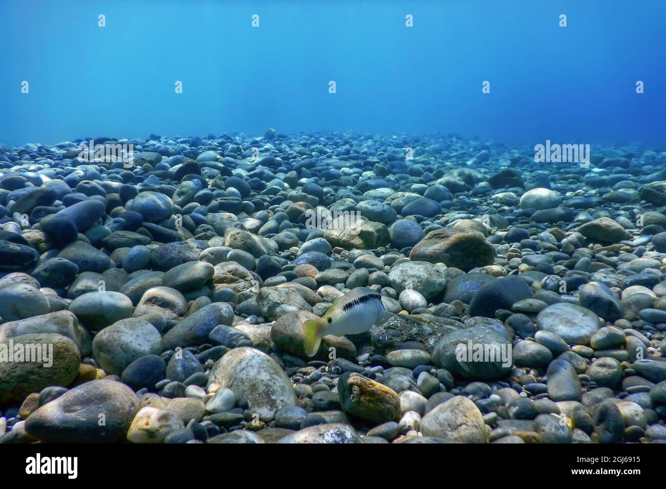 Underwater Rocks and Pebbles on the Seabed Stock Photo - Alamy