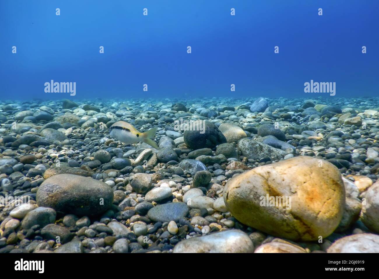 Riverbed underwater hi-res stock photography and images - Alamy