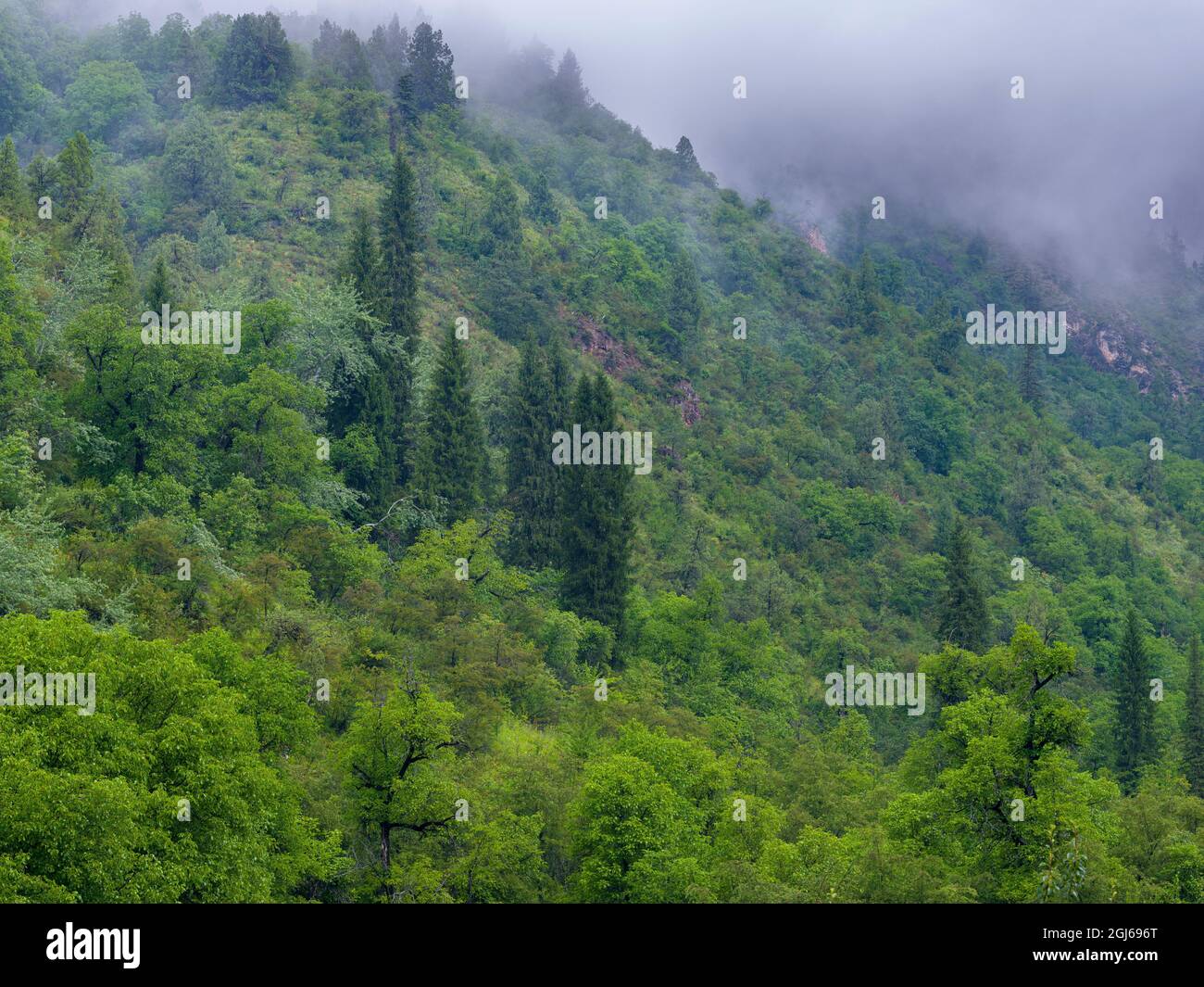 Sary chelek biosphere hi-res stock photography and images - Alamy