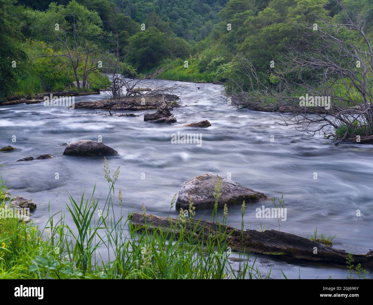 Sary chelek biosphere hi-res stock photography and images - Alamy