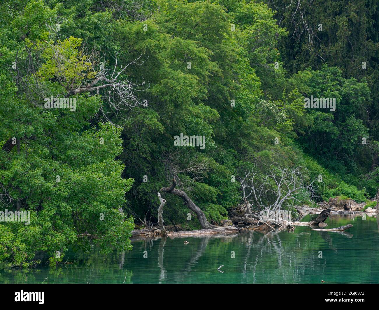Sary chelek biosphere hi-res stock photography and images - Alamy