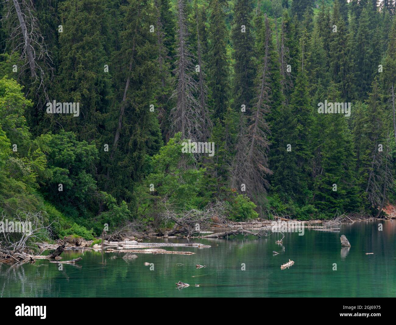 Lake Sary-Chelek in the nature reserve Sary-Chelek (Sary-Tschelek ...