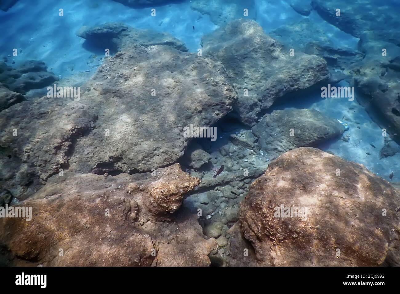 Sea Life Underwater Rocks Sunlight, Underwater Life Stock Photo - Alamy