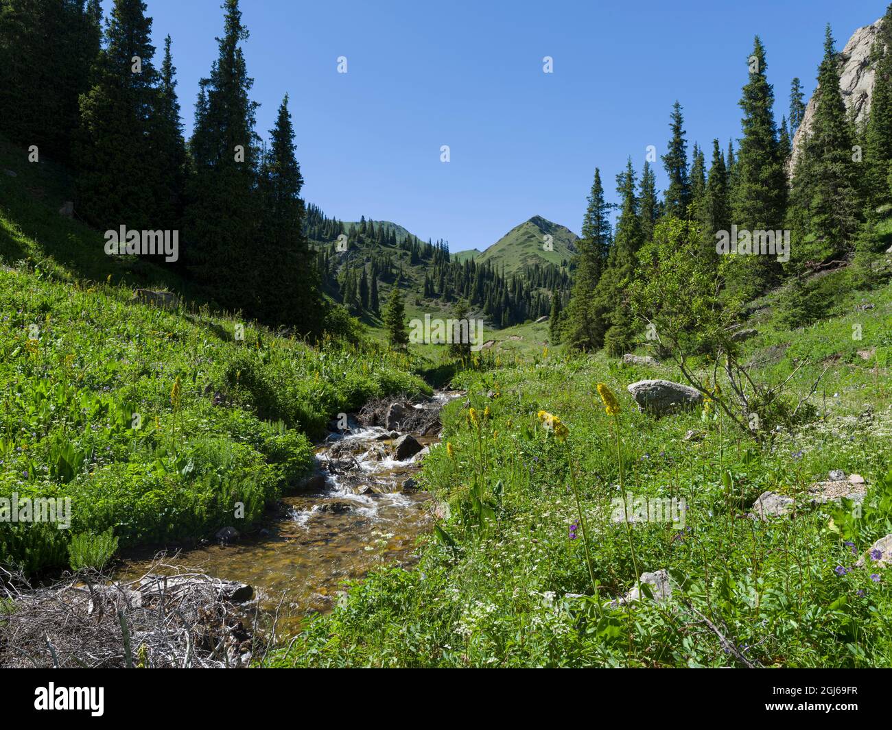 Moldo ashuu pass hi-res stock photography and images - Alamy