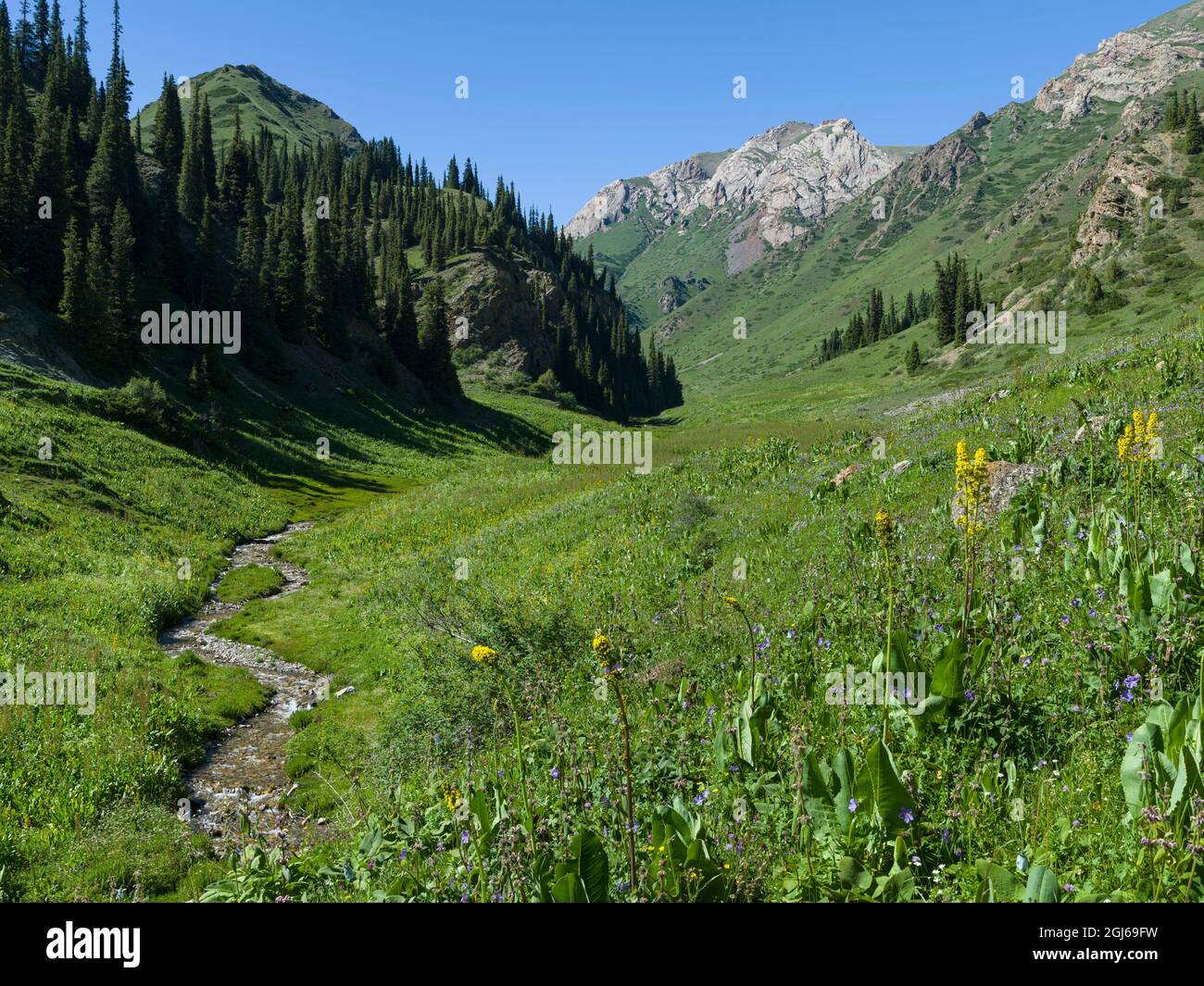 Moldo ashuu pass hi-res stock photography and images - Alamy