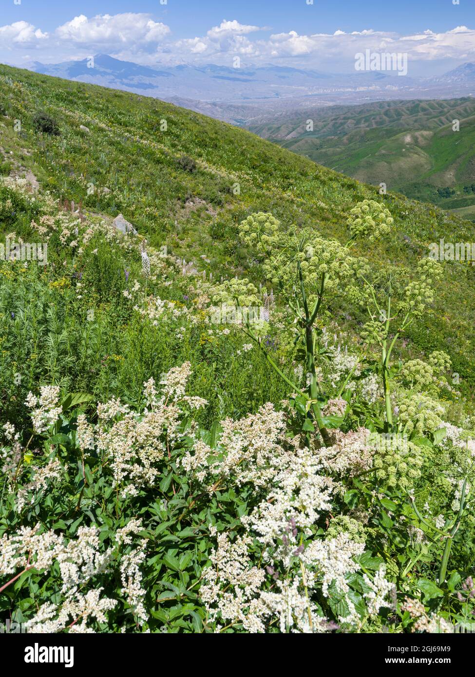 Landscape along the mountain road from Kazarman to mountain pass Urum ...