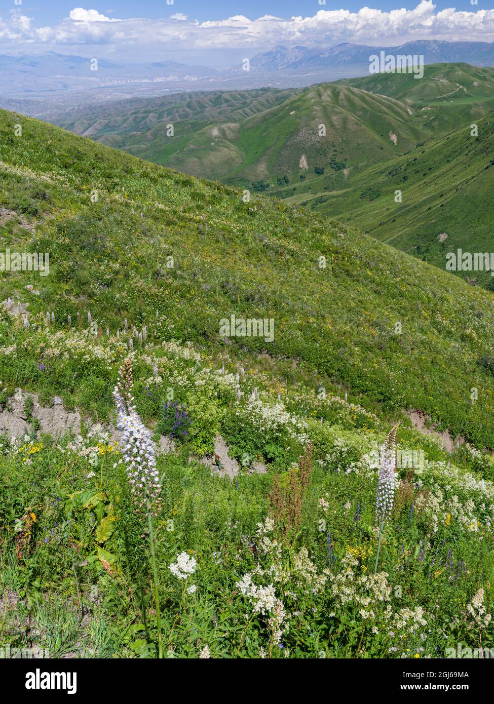 Landscape along the mountain road from Kazarman to mountain pass Urum ...