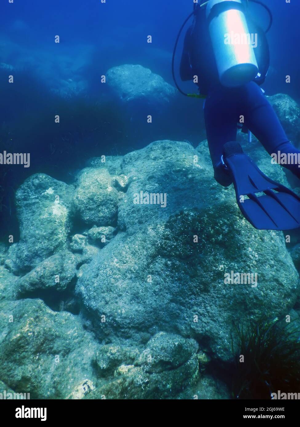Scuba Diver Swimming Underwater Explores Reef and Examines Seabed Stock ...