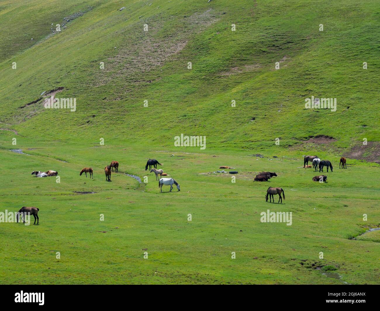 Landscape along the Pamir Highway. The mountain range Tian Shan or ...