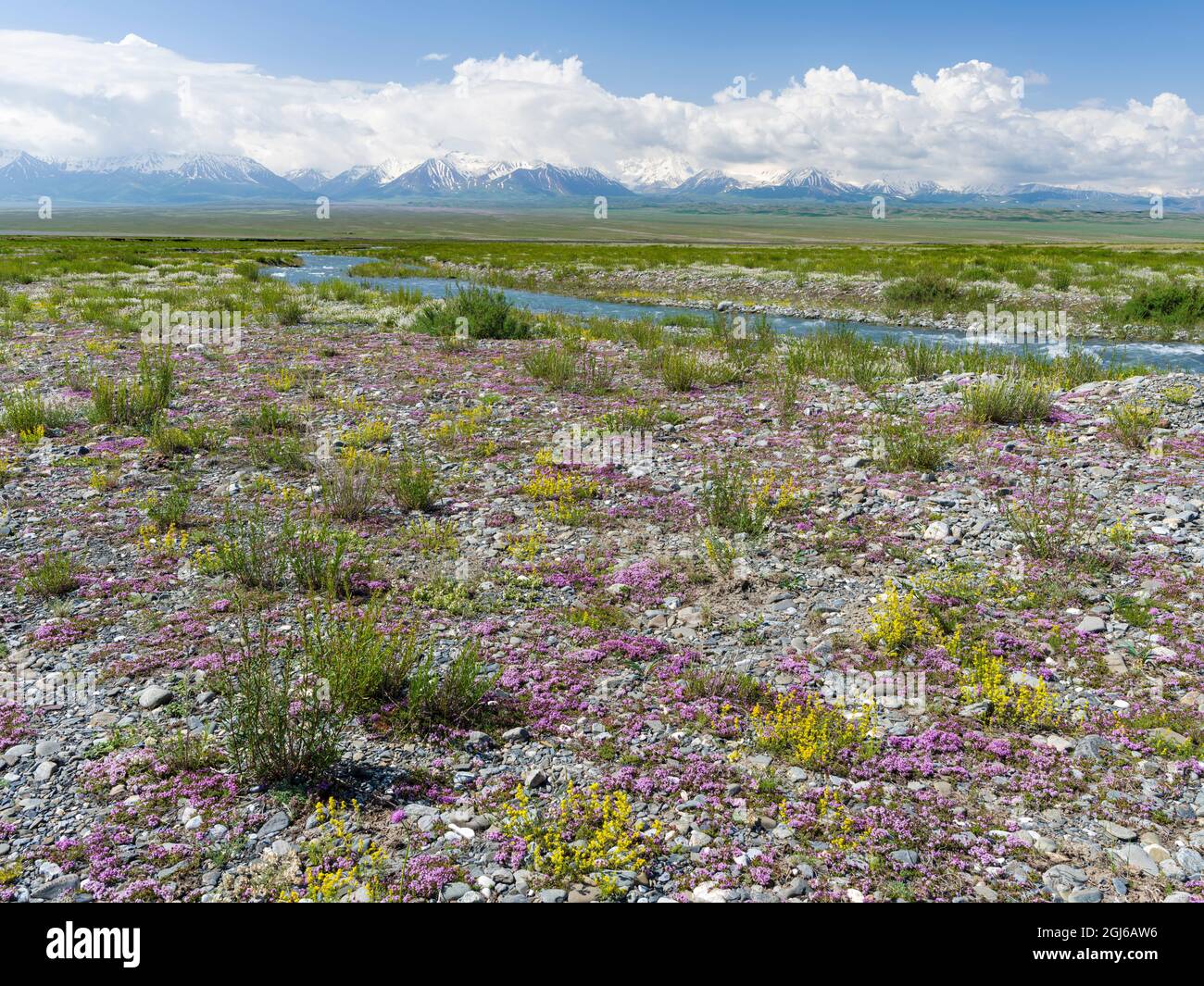 Peak Pik Lenin or Kullai abu-ali ibn Sino and Pik Dserschinski. Alay ...