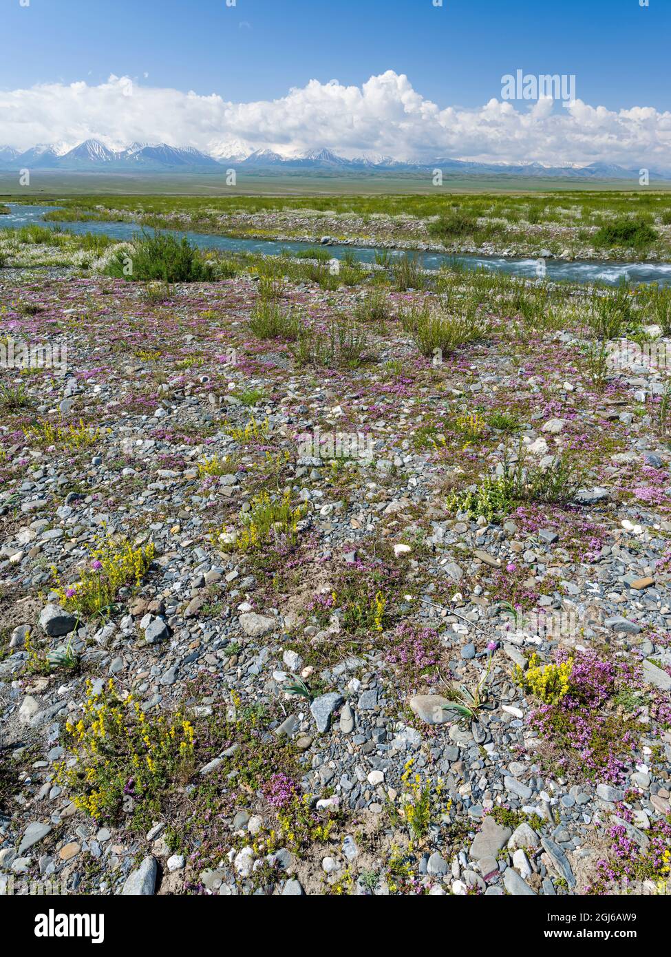 Peak Pik Lenin or Kullai abu-ali ibn Sino and Pik Dserschinski. Alay ...