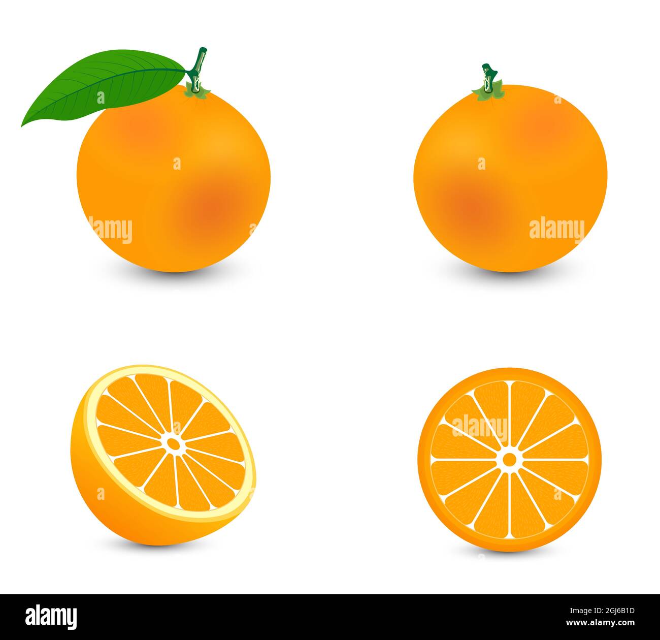 Orange fruit slice leaves Stock Vector Images - Alamy
