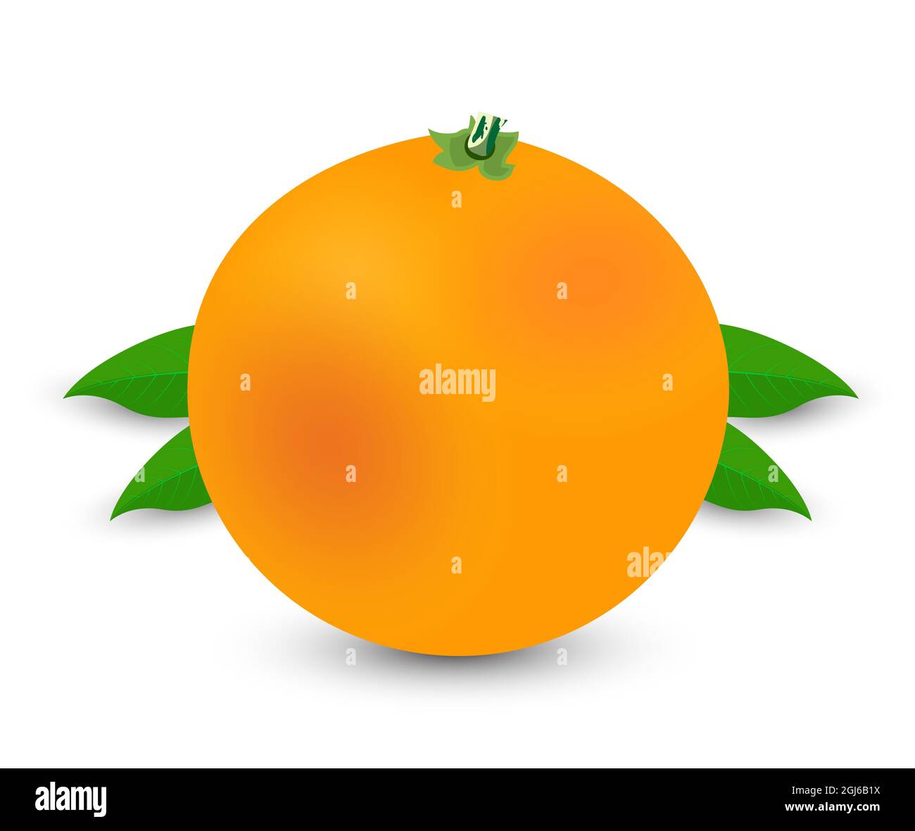 Orange vector with leaves isolated on white background. Vector fruit ...