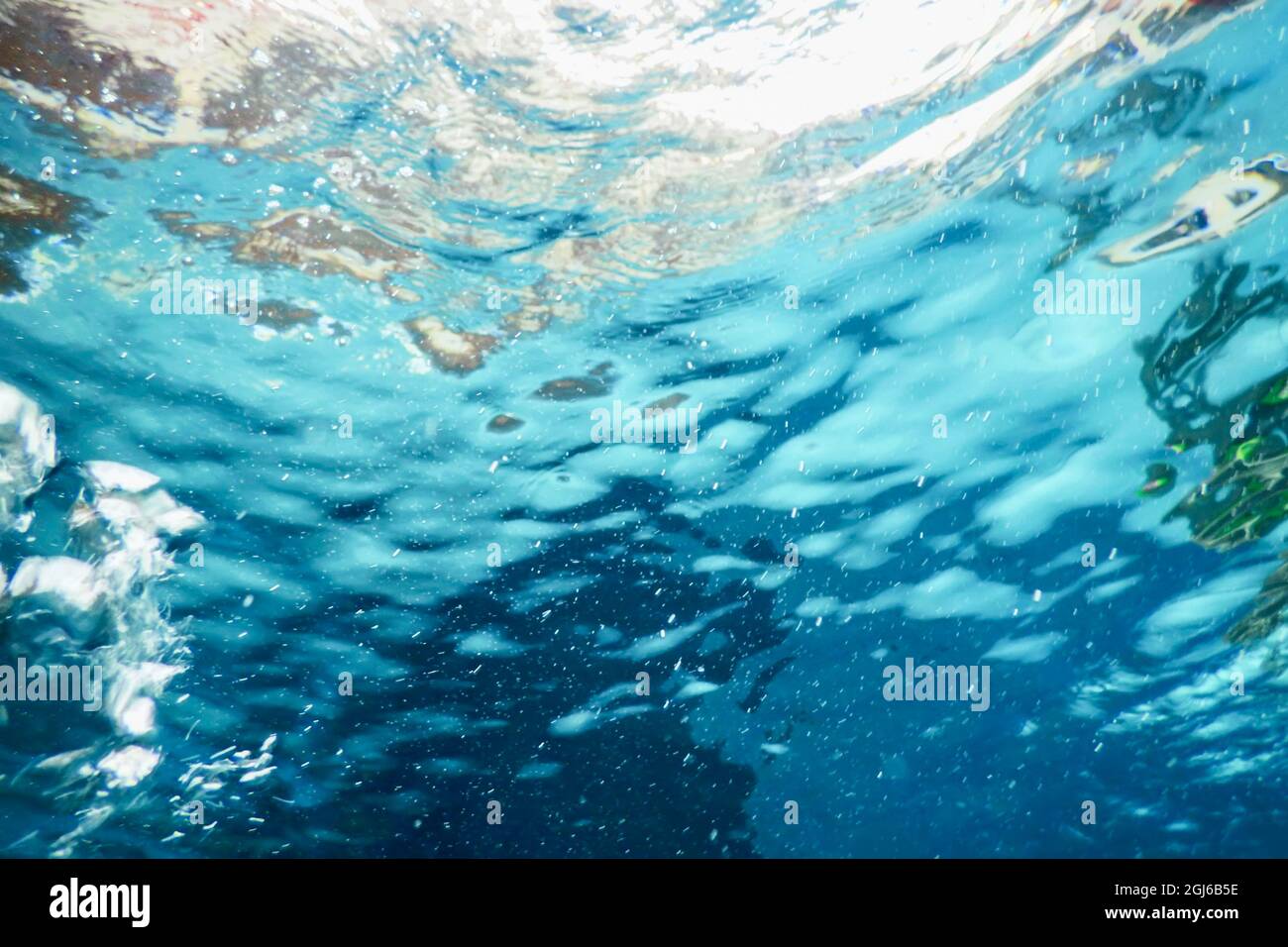 Underwater view of the water surface. Underwater background Stock Photo ...
