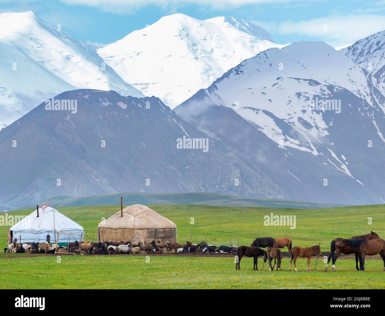 Traditional yurt the Transalai mountains in the background. Alaj valley ...