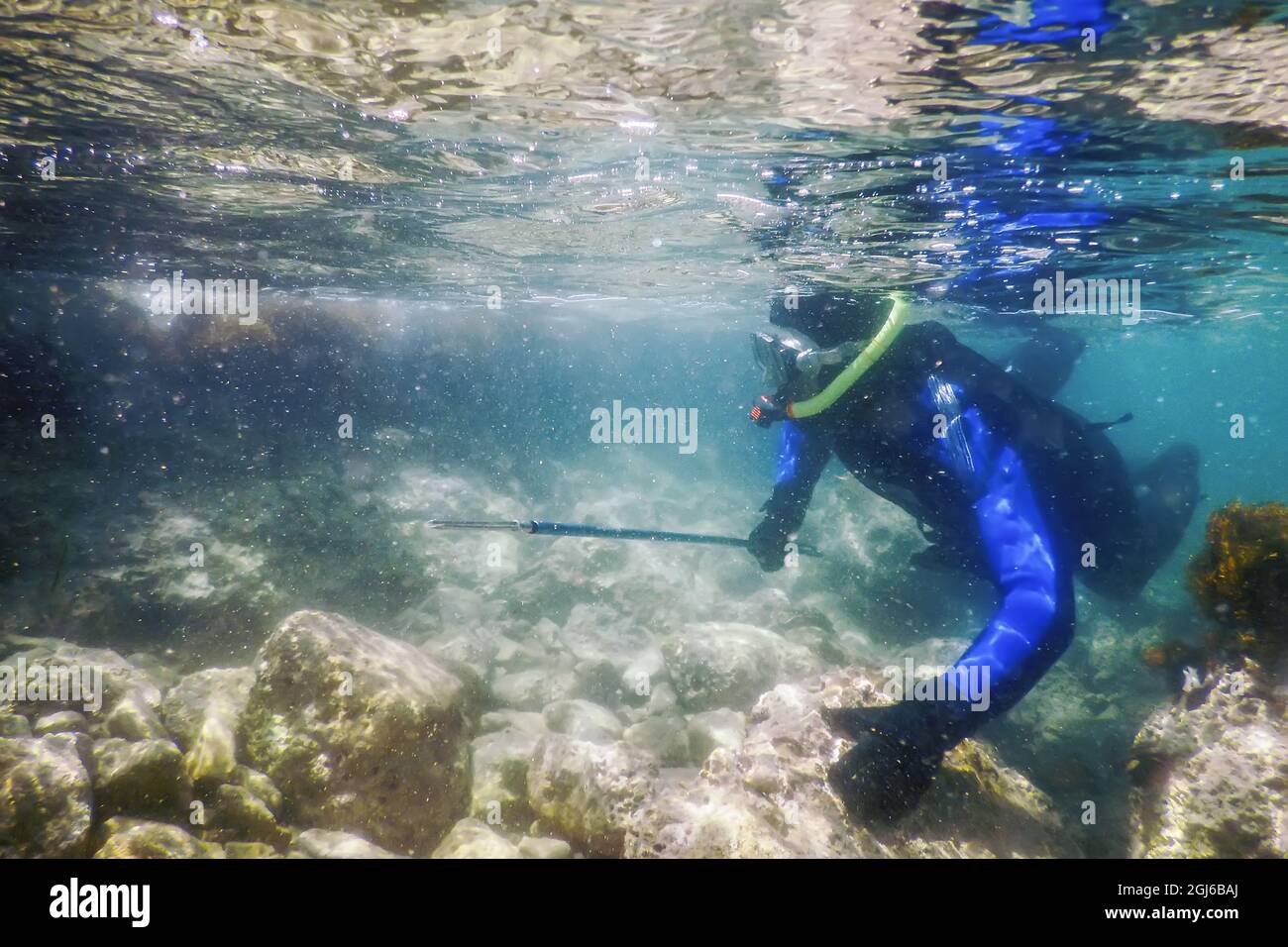 Spearfishing Diver Swimming in Shallow Sea Water Stock Photo - Alamy