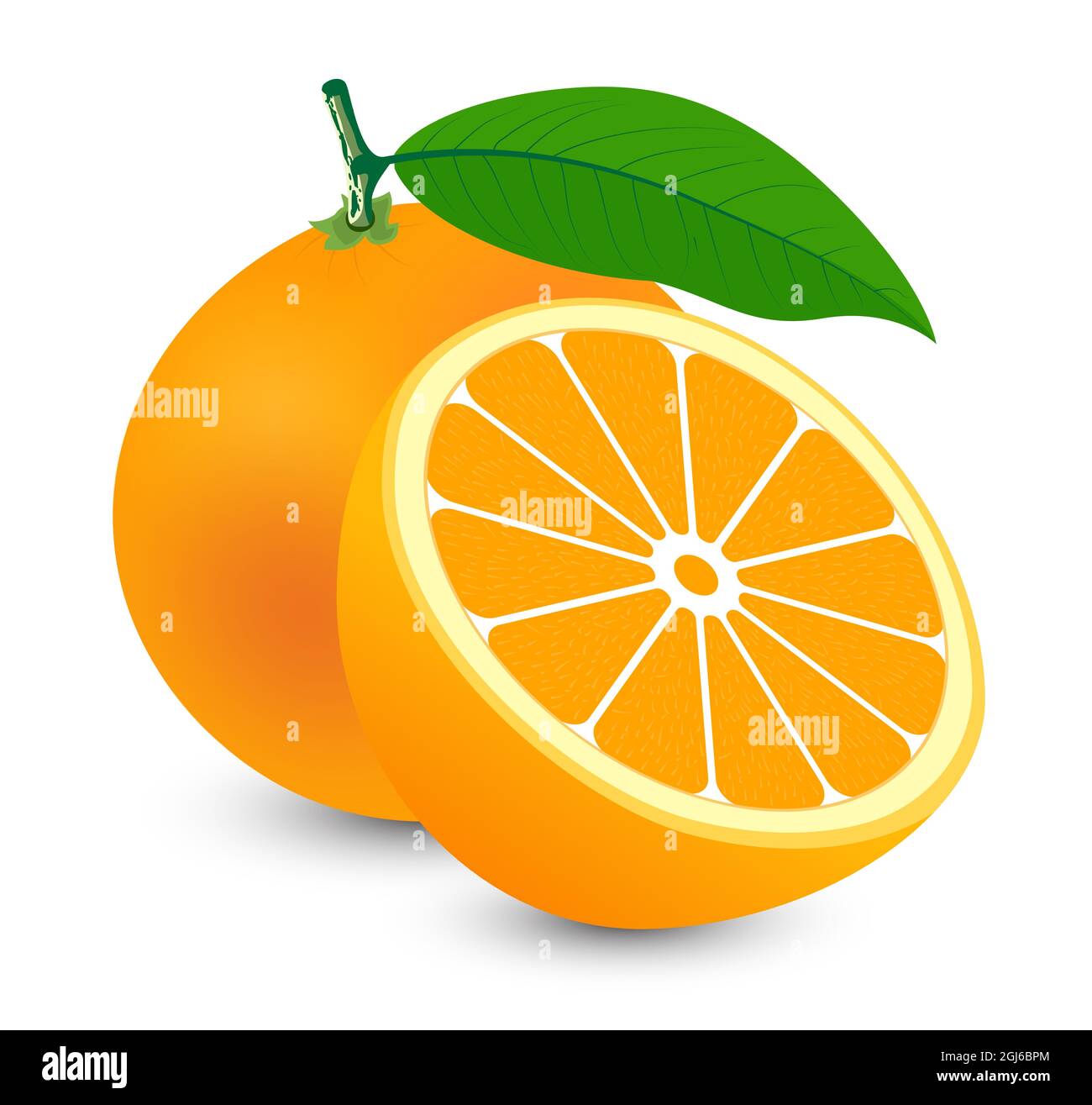 Orange Wedge Vector
