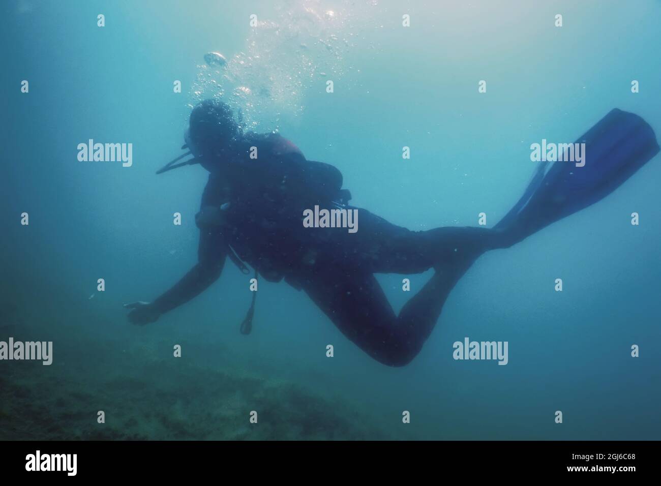 Scuba Diver Swimming Underwater Explores Reef and Examines Seabed Stock ...