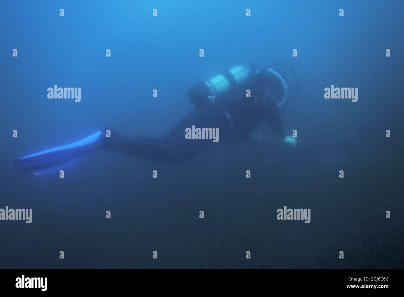 Scuba Diver Swimming Underwater Explores Reef and Examines Seabed Stock ...