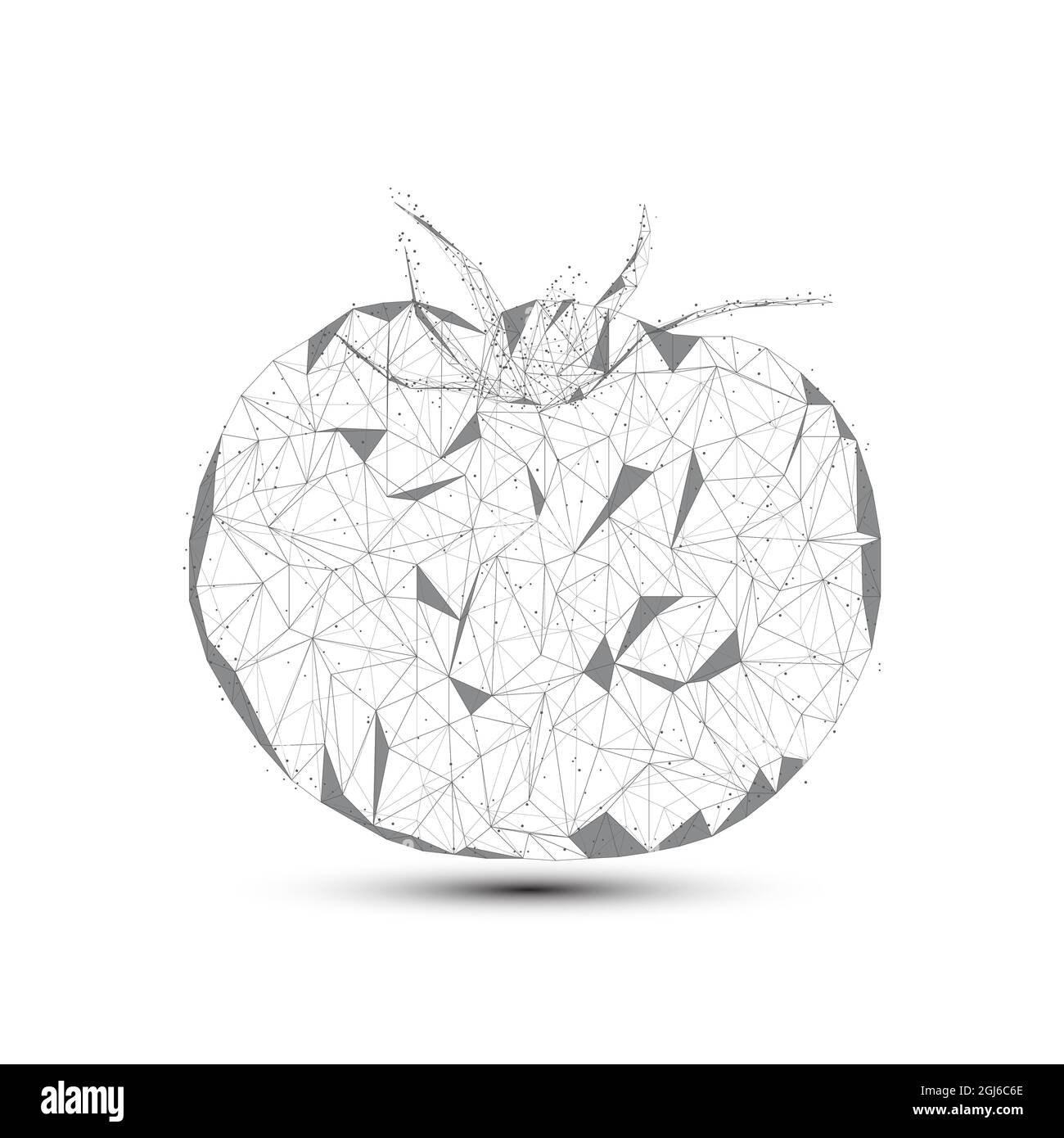 Abstract Tomato with consisting of point, line and shape in the design ...