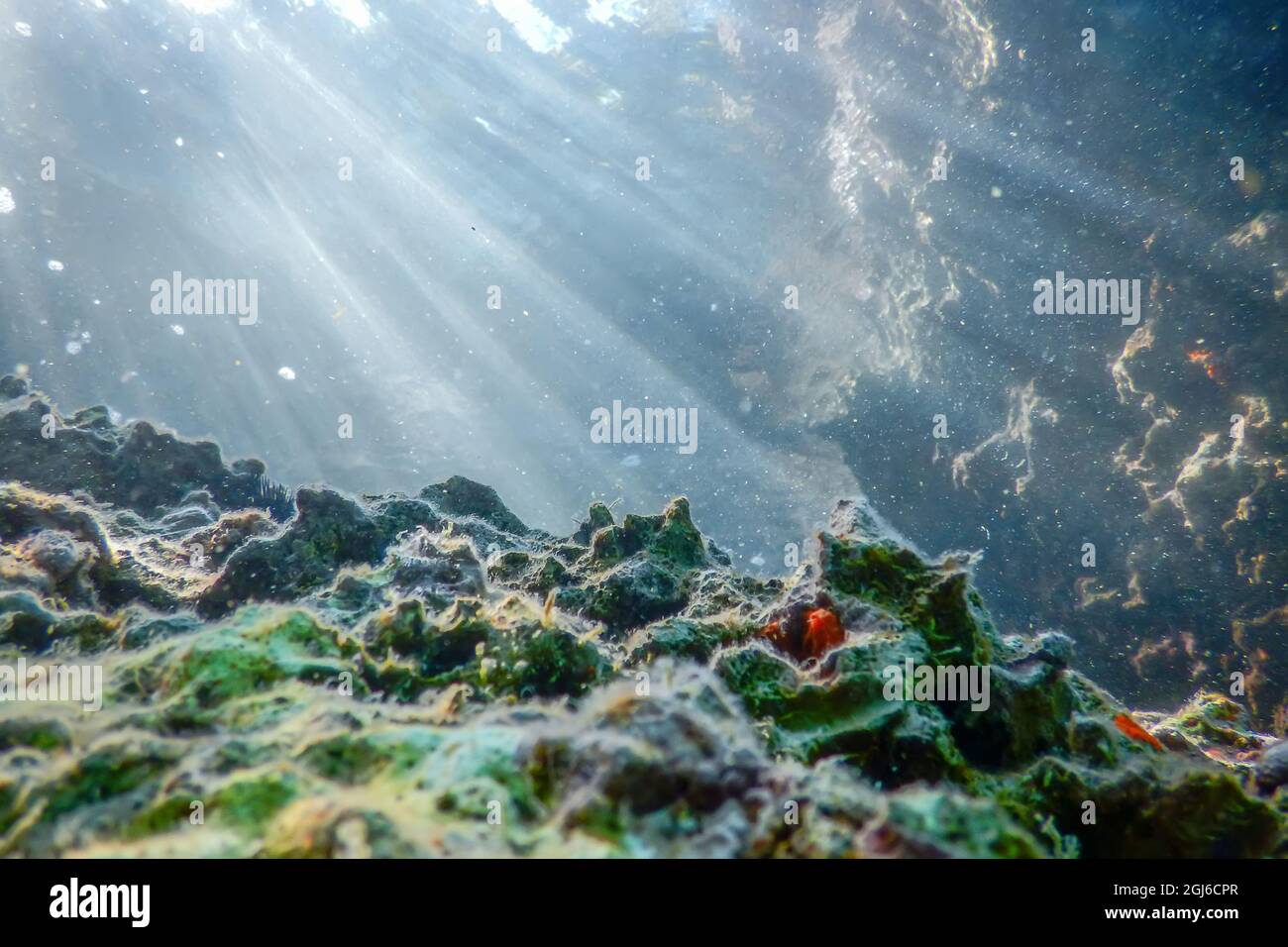 Underwater Scene Sunlight, fish Underwater Life Stock Photo - Alamy