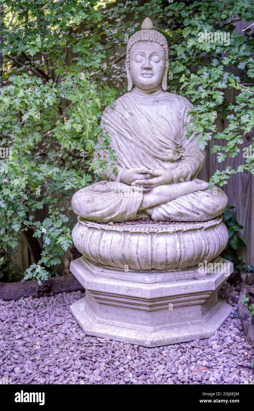 Crossed leg legged position hi-res stock photography and images - Alamy