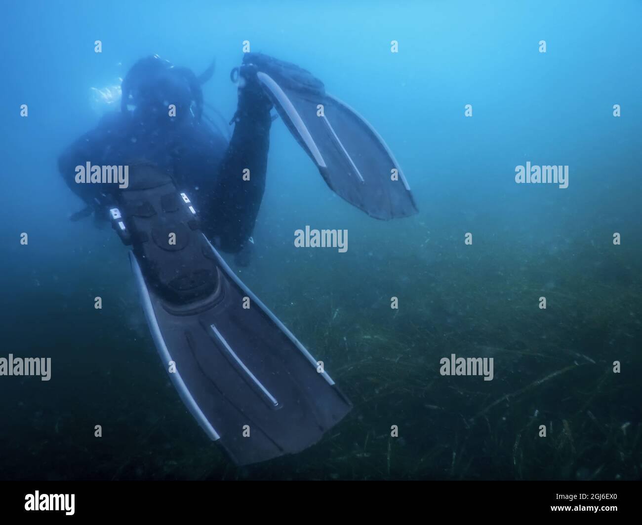 Scuba Diver Swimming Underwater Explores Reef and Examines Seabed Stock ...